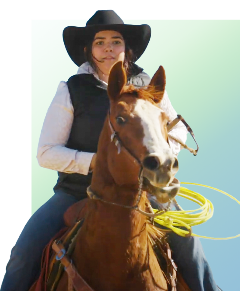 Idaho Digital Learning Alliance - Home